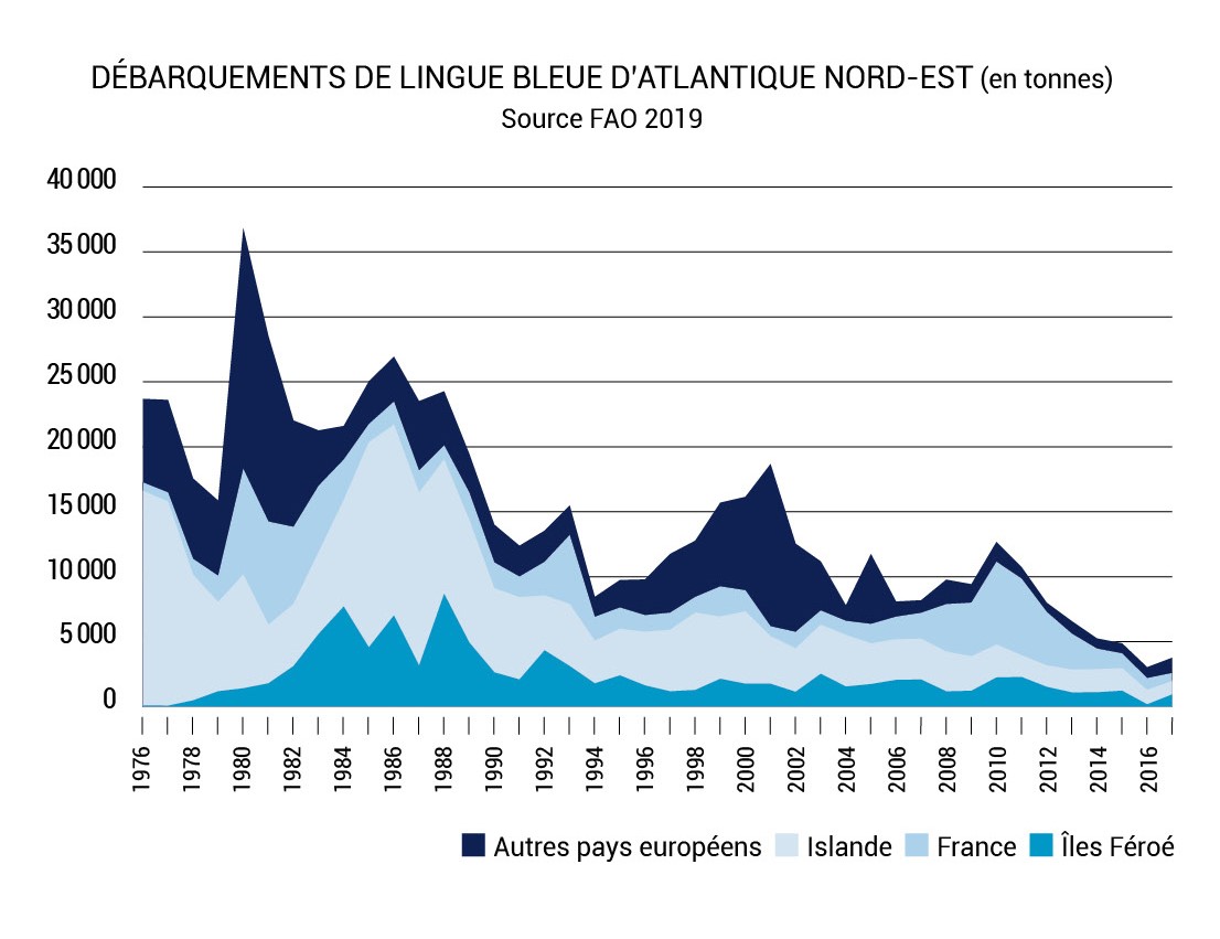 Lingue bleue | Guide des espèces