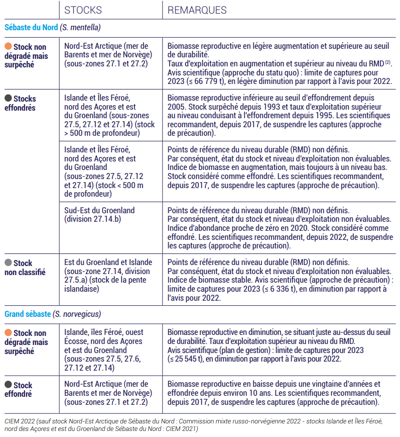 Sébaste | Guide des espèces