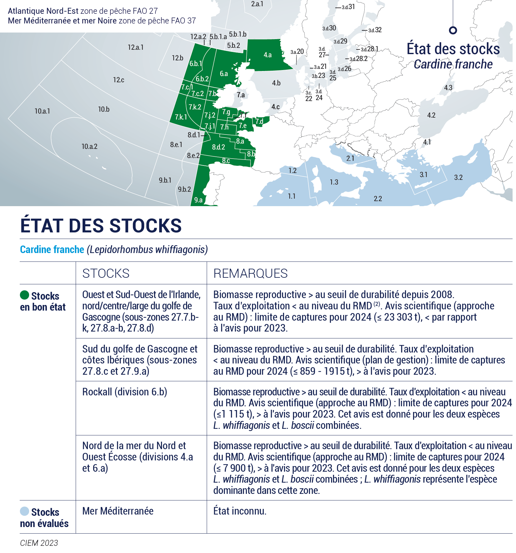 Cardine franche | Guide des espèces